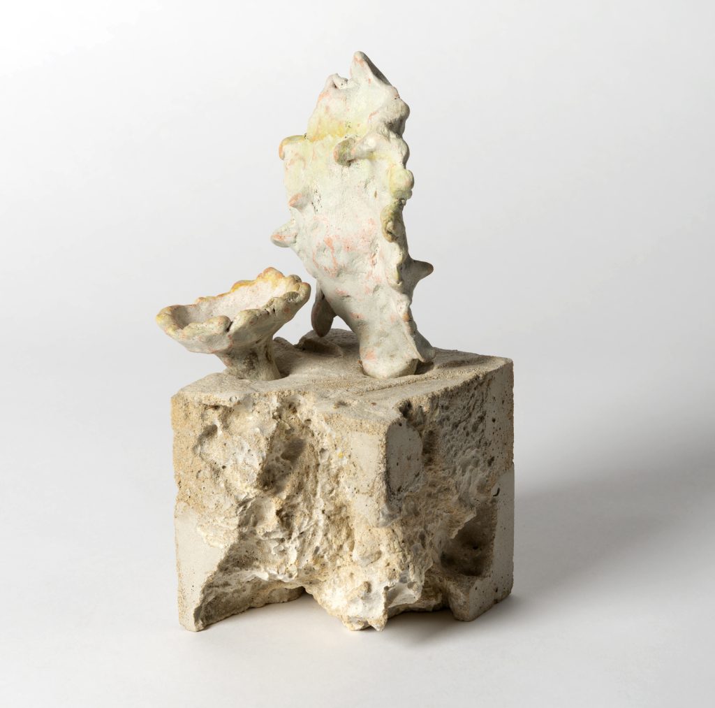 sculpture at bathers beach 2020 - Beverley Iles