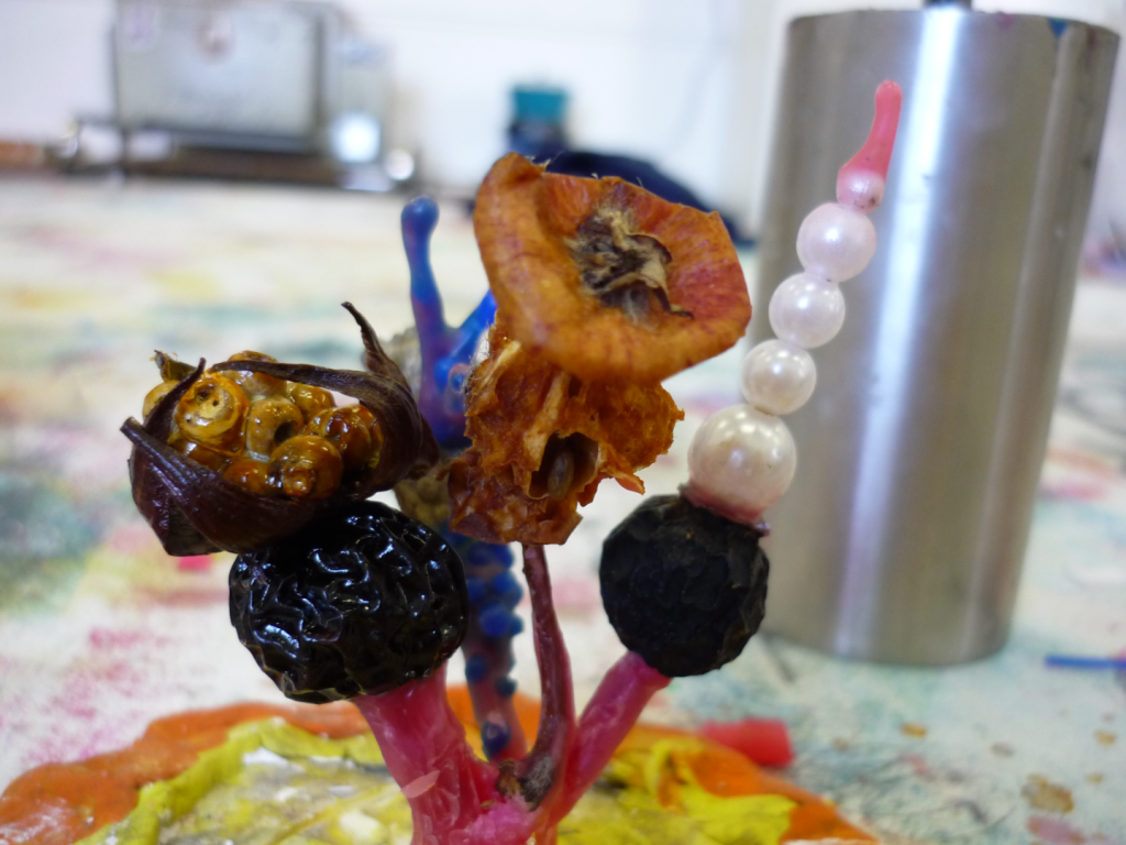 specimens series - Beverley Iles