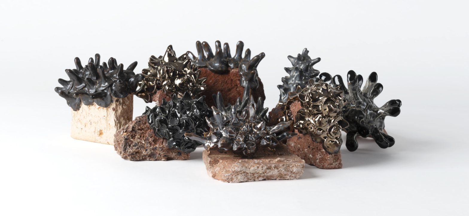 tiny vessels - Beverley Iles